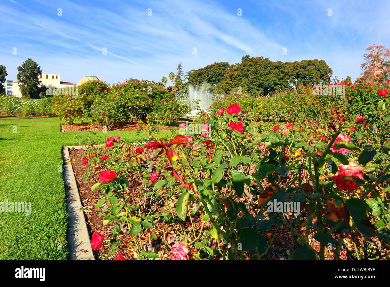 Los Angeles, California: Exposition Park Rose Garden at 701 State Dr ...