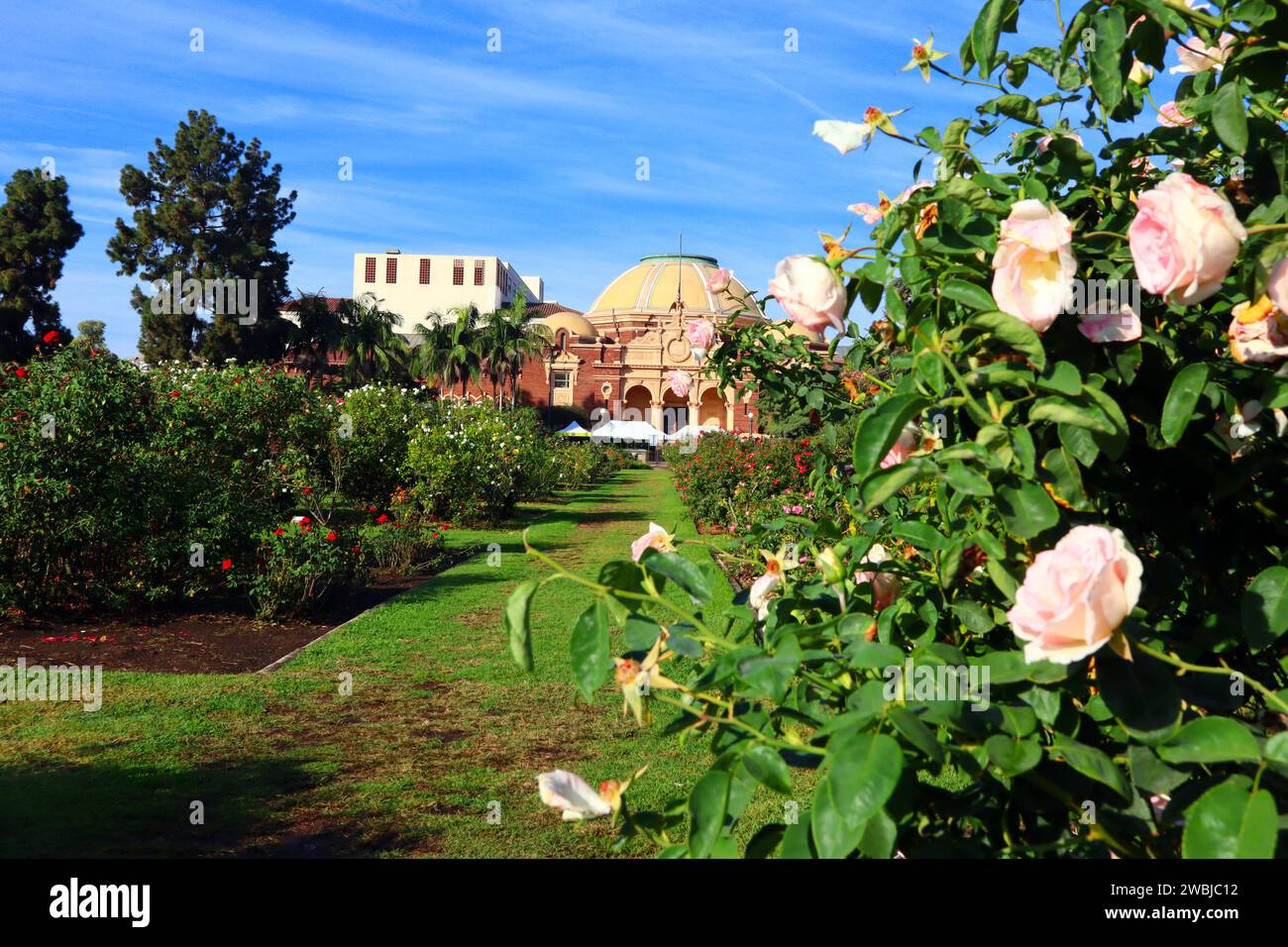 Los Angeles, California: Exposition Park Rose Garden at 701 State Dr ...