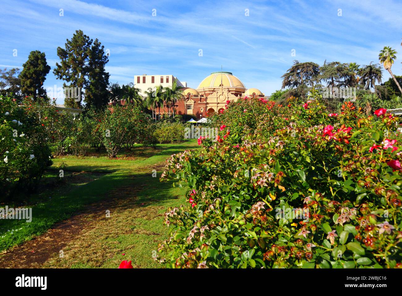 Exposition park rose garden los angeles hi-res stock photography and ...