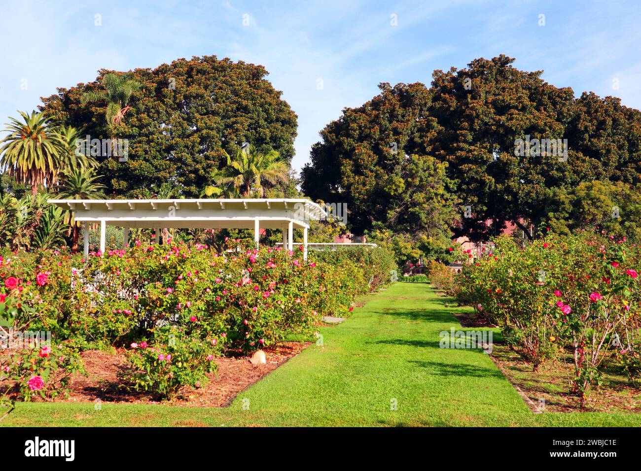 Exposition park rose garden los angeles hi-res stock photography and ...