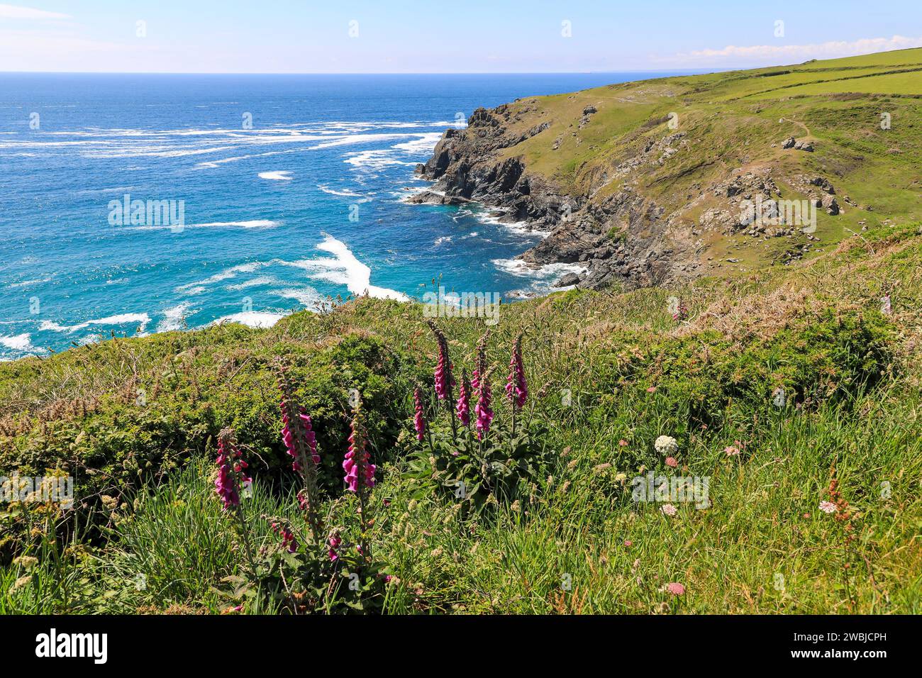 Predannack cliffs cornwall hi-res stock photography and images - Alamy