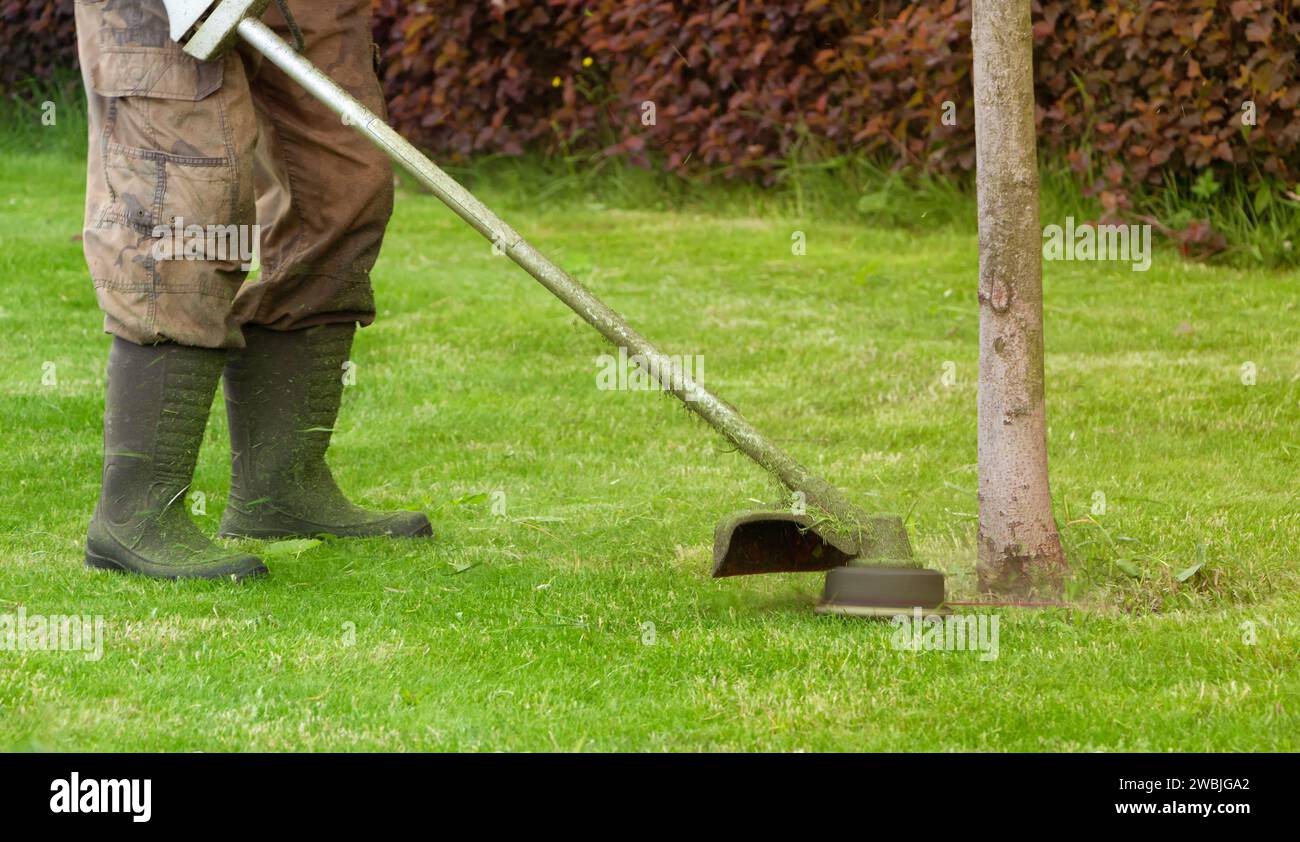Gardener mows a green lawn with a hand-held lawn mower. Close-up Stock ...