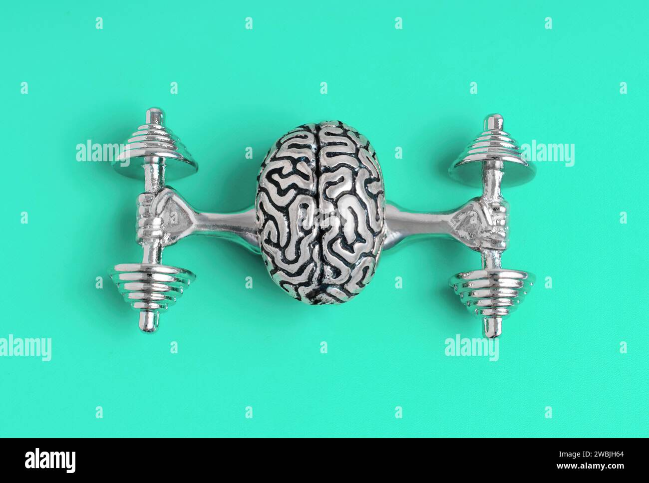 Close-up view of a detailed human brain model elevating heavy dumbbells ...