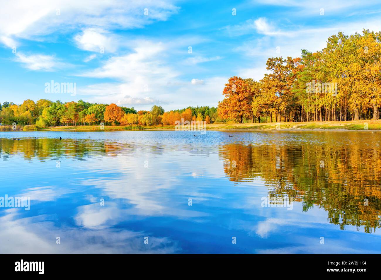 View of a peaceful lake surrounded by the rich hues of fall foliage ...