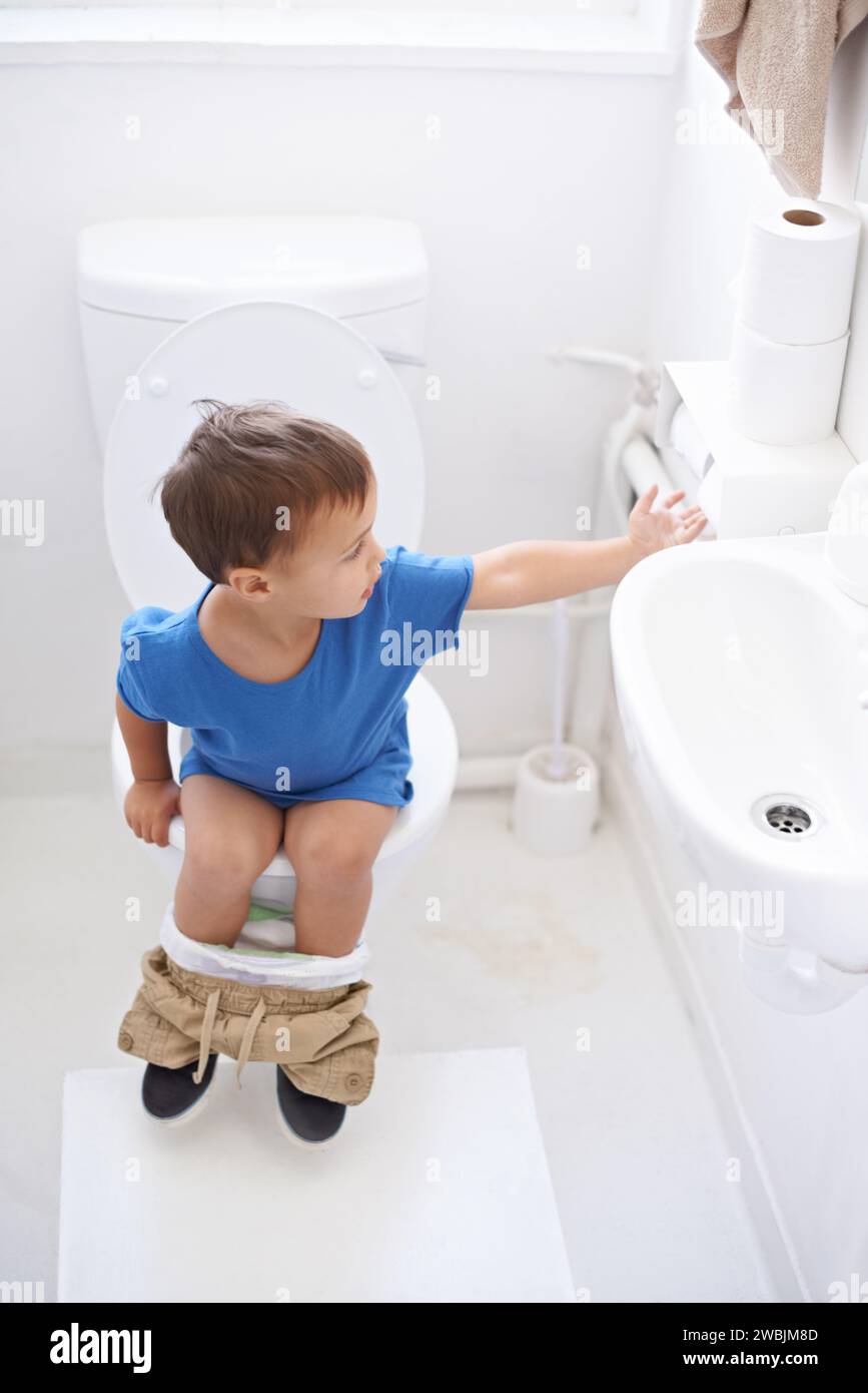 Boy child, potty training and toilet paper with sitting, diaper and ...