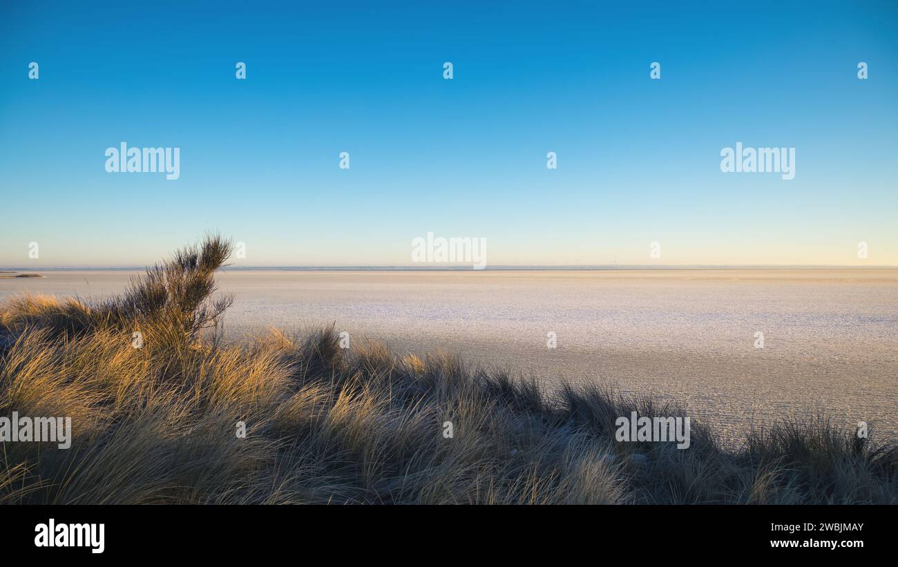 Winter landscape at Ringkobing Fjord, Denmark Stock Photo - Alamy