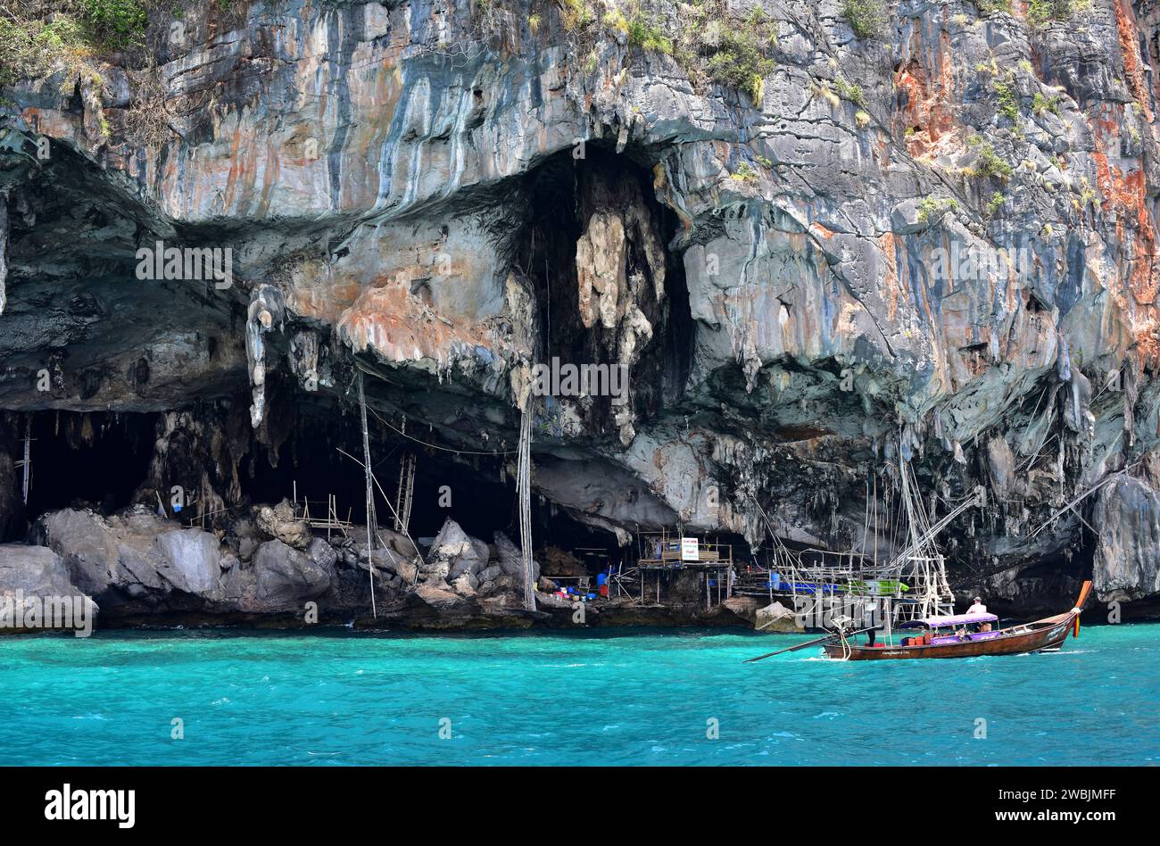 Ko Phi Phi Le Island, Viking Cave with a colony of swiftlets (edible ...