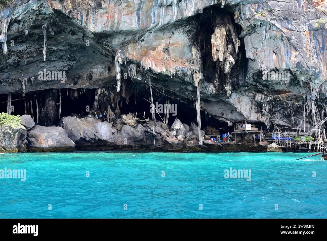 Ko Phi Phi Le Island, Viking Cave with a colony of swiftlets (edible ...