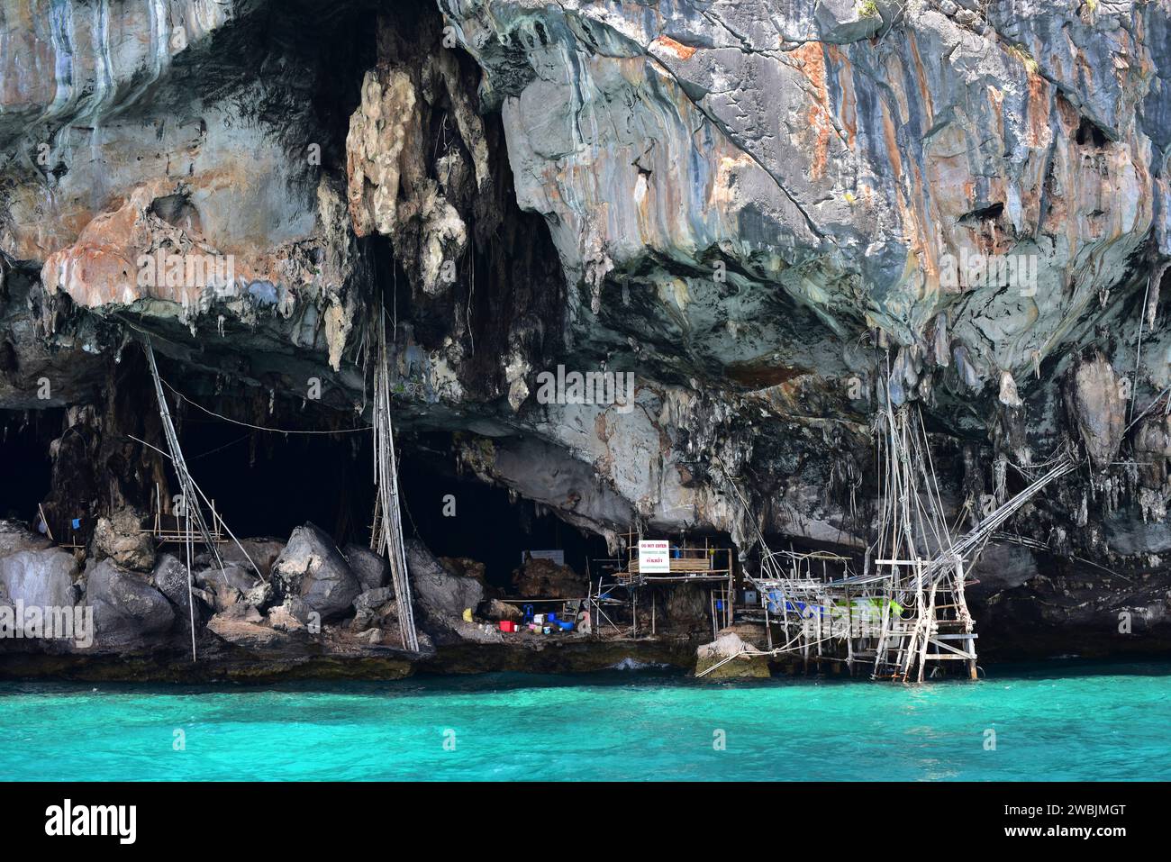 Ko Phi Phi Le Island, Viking Cave with a colony of swiftlets (edible ...