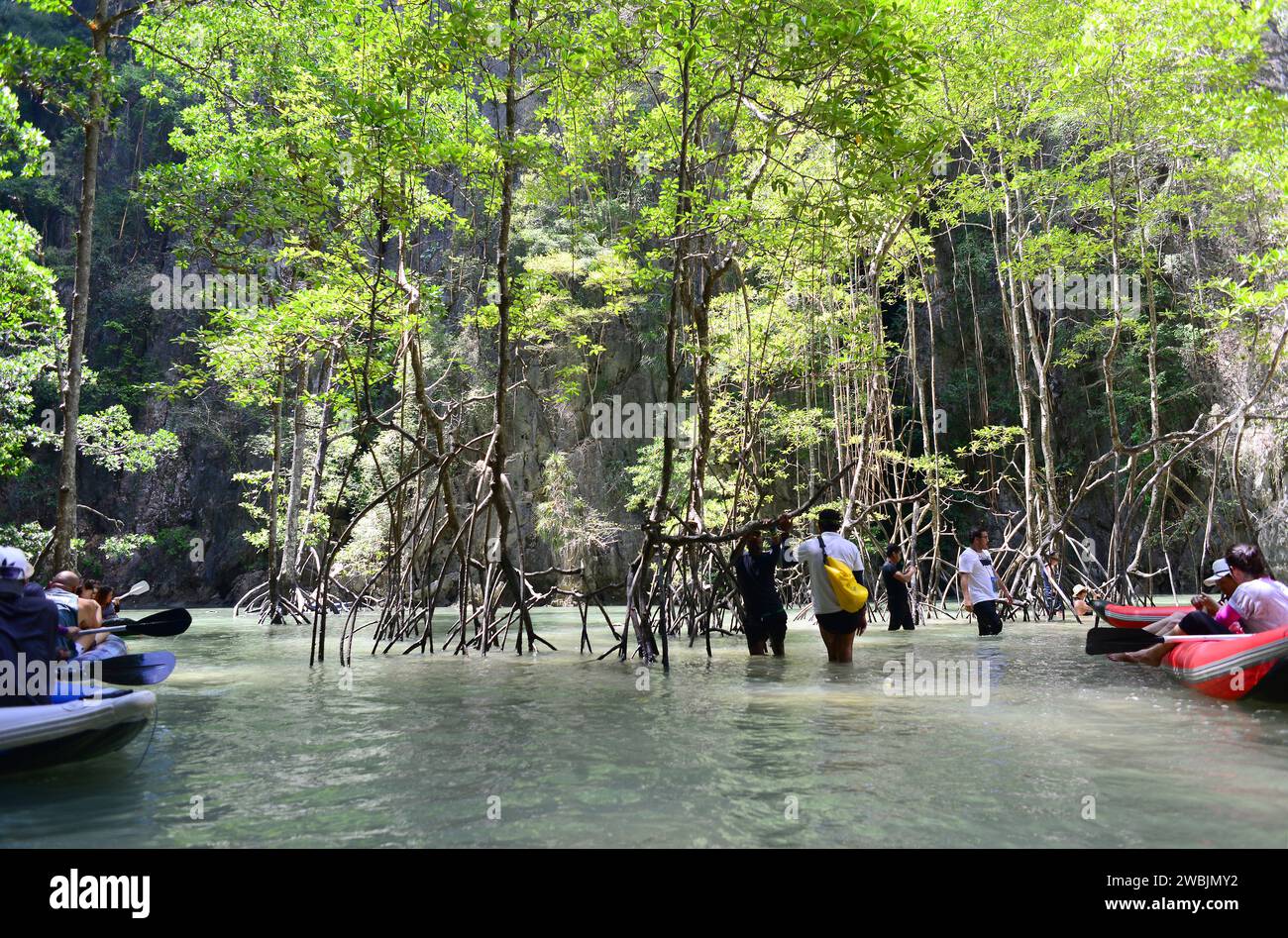 Koh Panak Cave with a mangrove. Ao Phang Nga Marine National Park ...