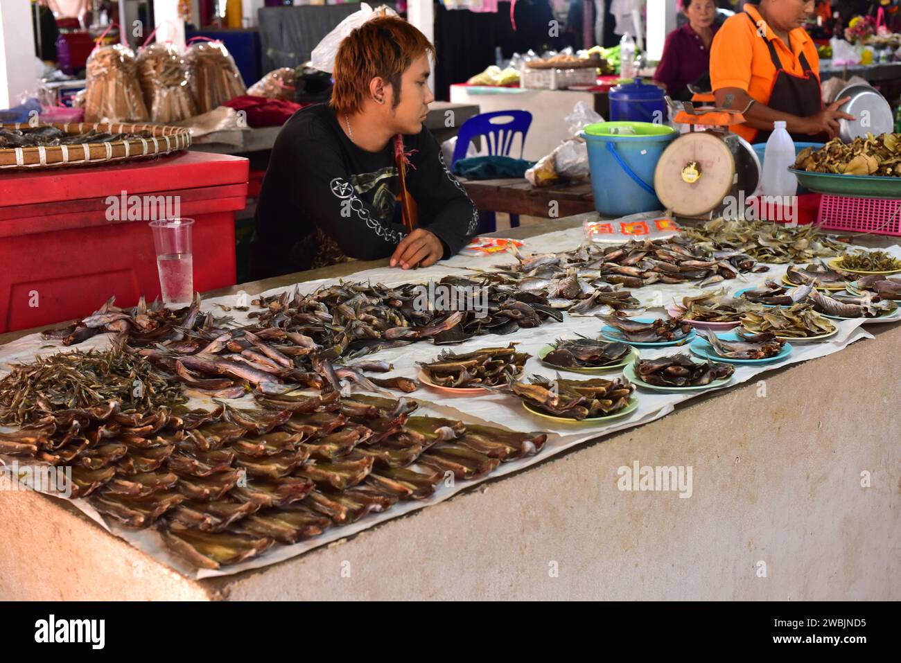 Sukhothai market, dried fish stand. Thailand Stock Photo - Alamy