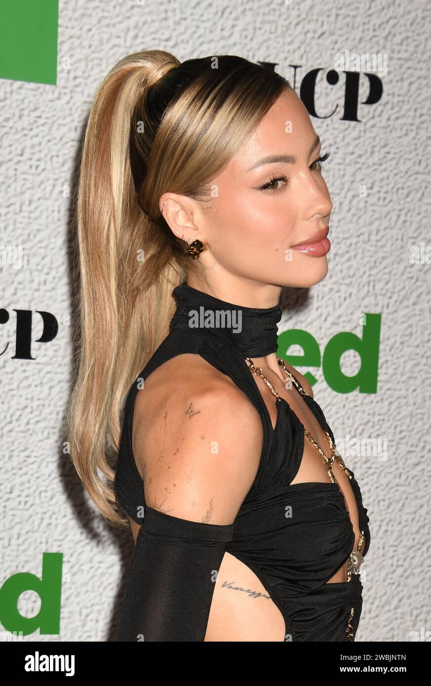Los Angeles, Ca. 10th Jan, 2024. Charly Jordan at PeacockÕs Ted Series ...