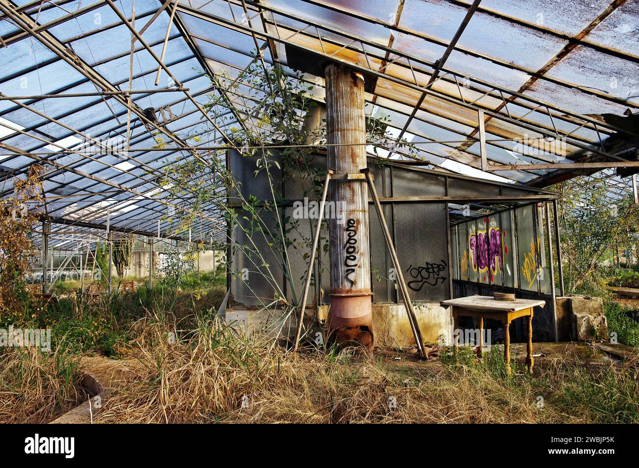 A neglected greenhouse in desolation, with glass panels and overgrown ...