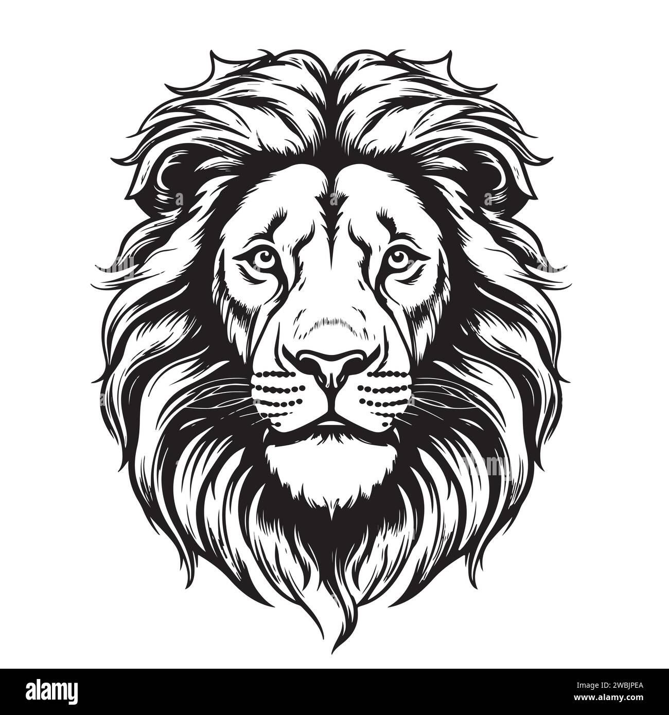 Lion head label hand drawn sketch Vector illustration Stock Vector ...