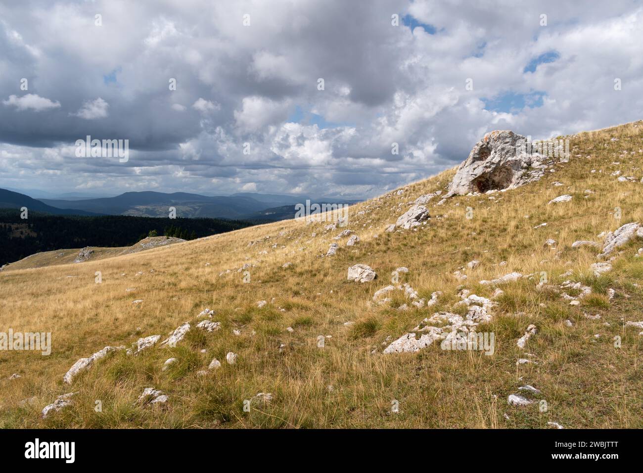 Grass pasture on slope of Vlasic mountain with some rocks, sunlit ...