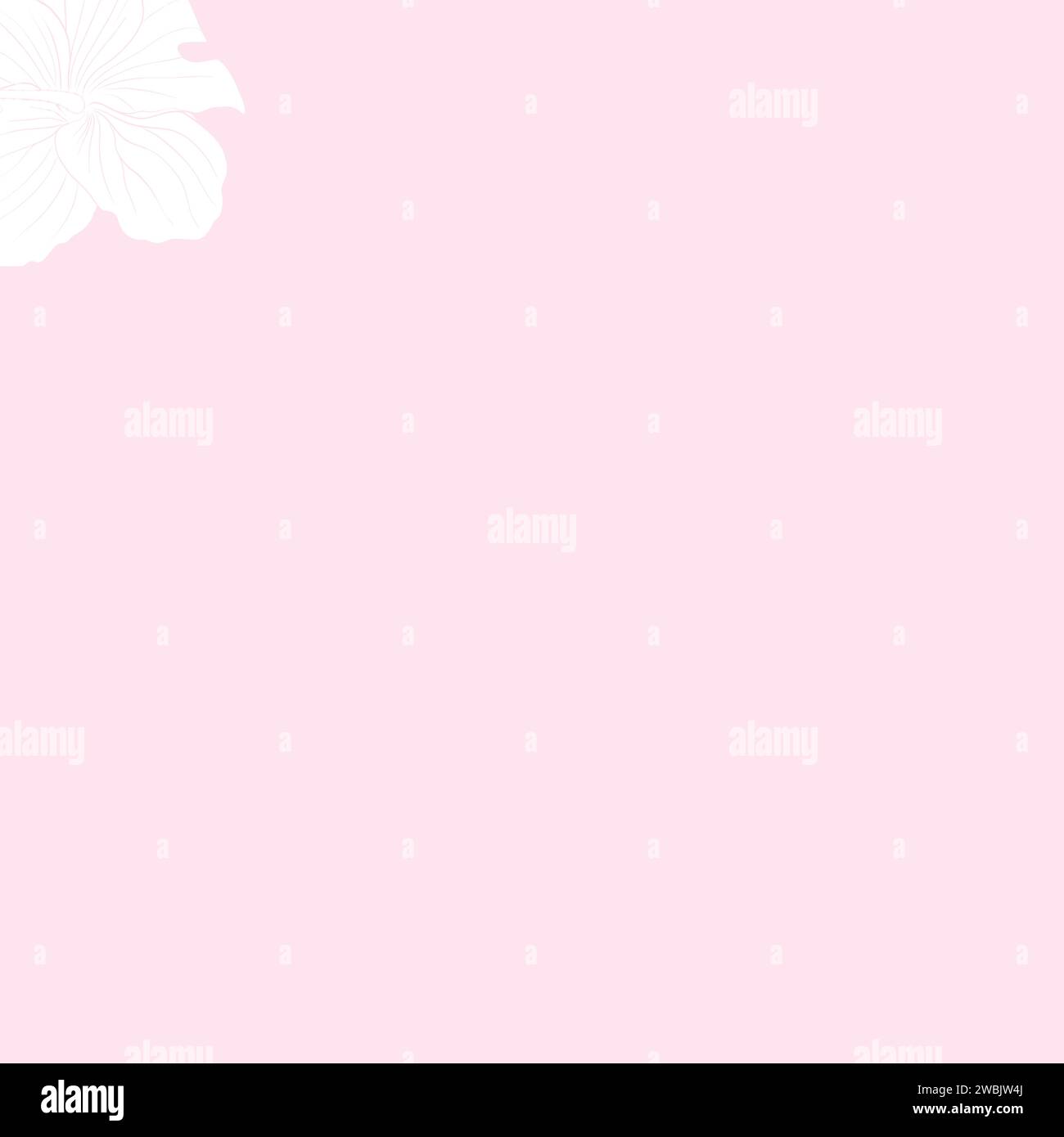 Hibiscus pink flower silhouette and line art seamless pattern for ...