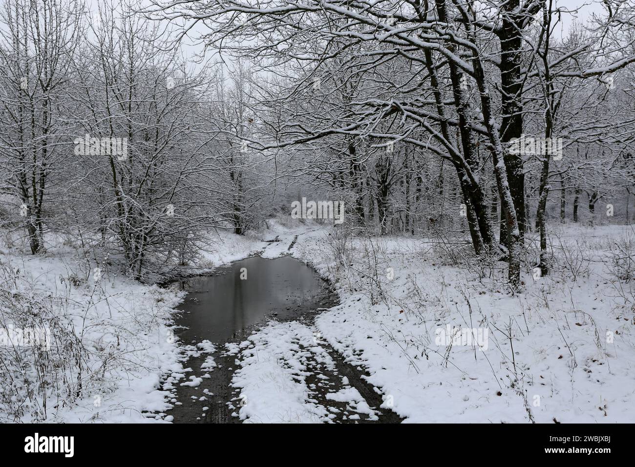 Ice on muddy puddle on hi-res stock photography and images - Alamy