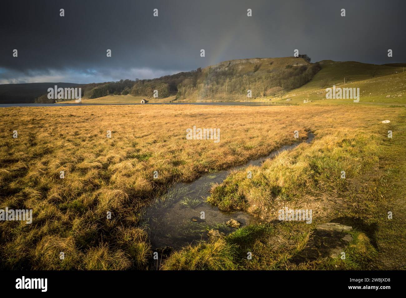 Malham Tarn is a glacial lake near the village of Malham in the ...