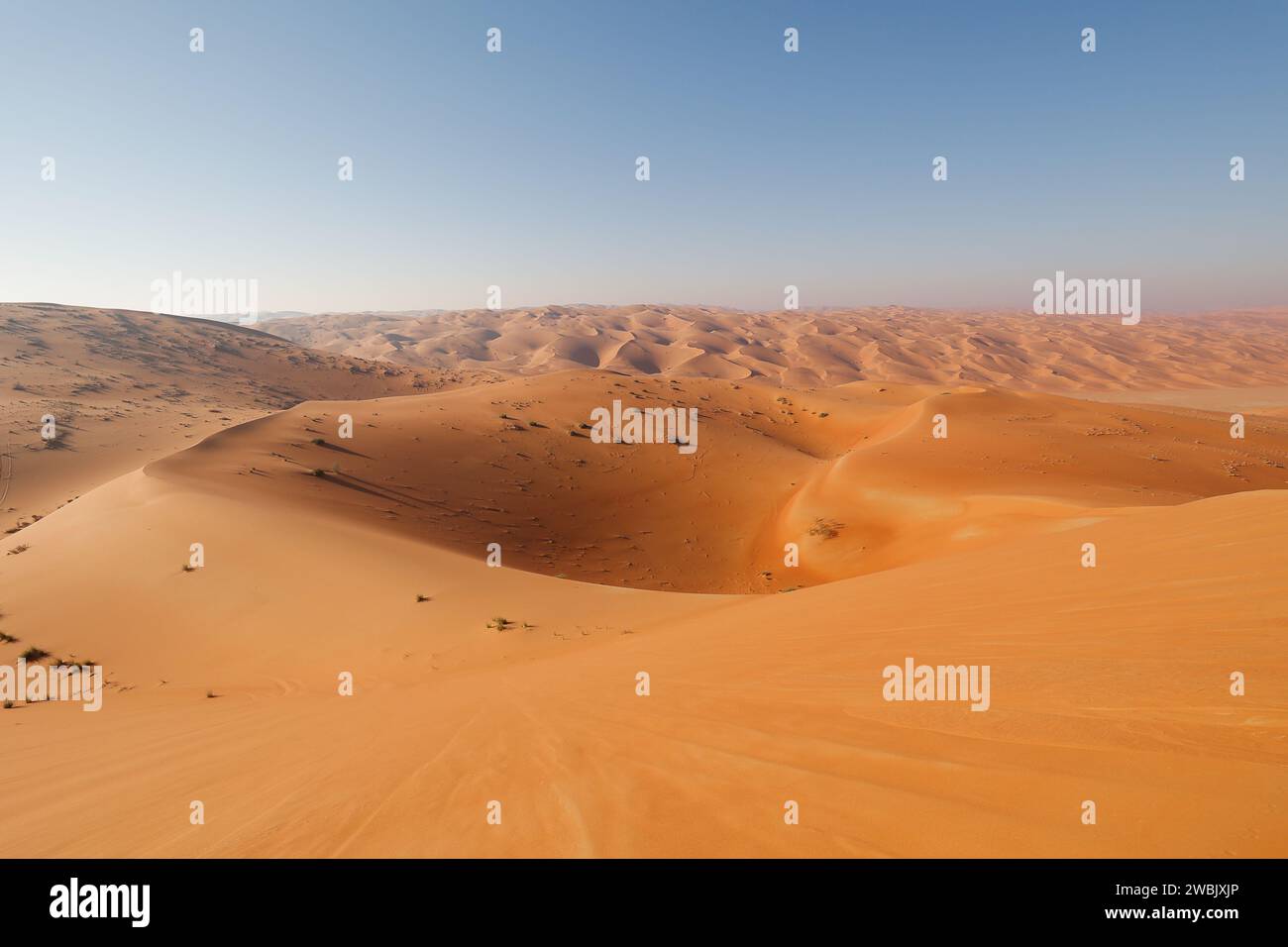 landscape, paysage, dunes during the Stage 6 Â«Â 48 Hours ChronoÂ Â» of ...