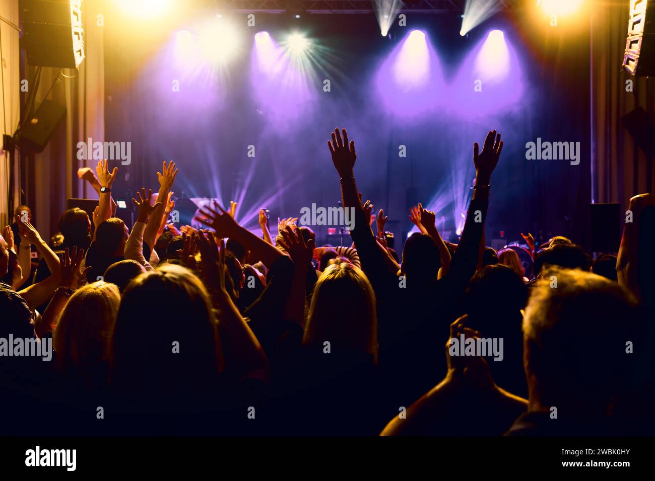 Energetic crowd under vibrant stage lights enjoying live music ...