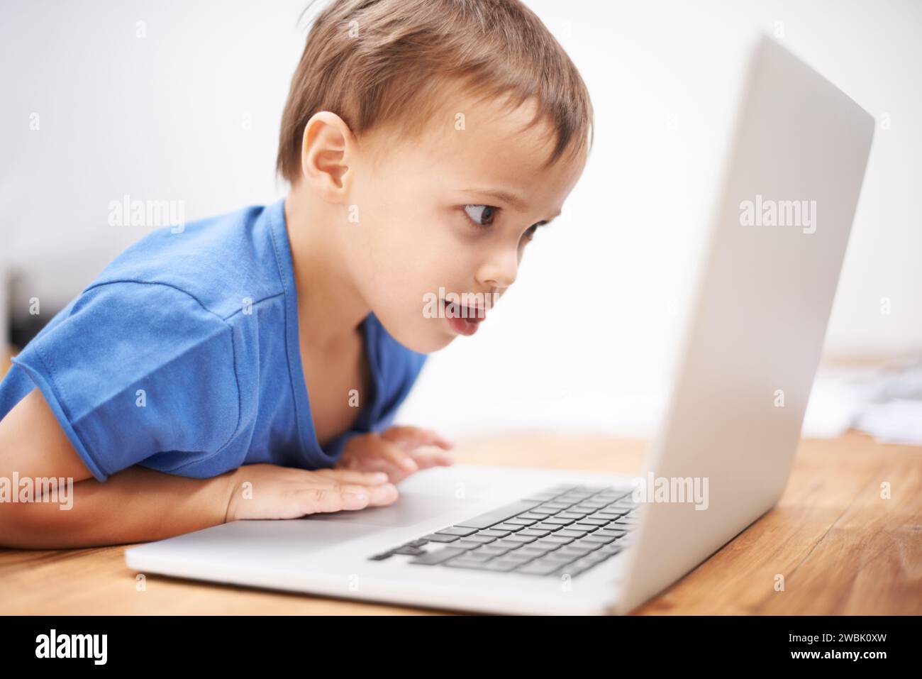 Boy child, laptop and reading in home with search, movies and cartoon ...