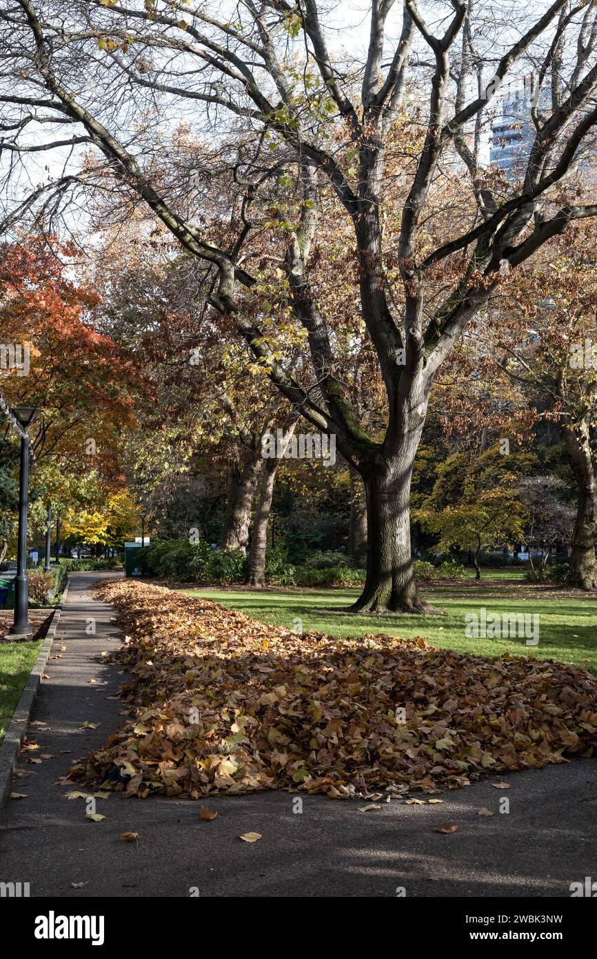 Denny park hi-res stock photography and images - Alamy