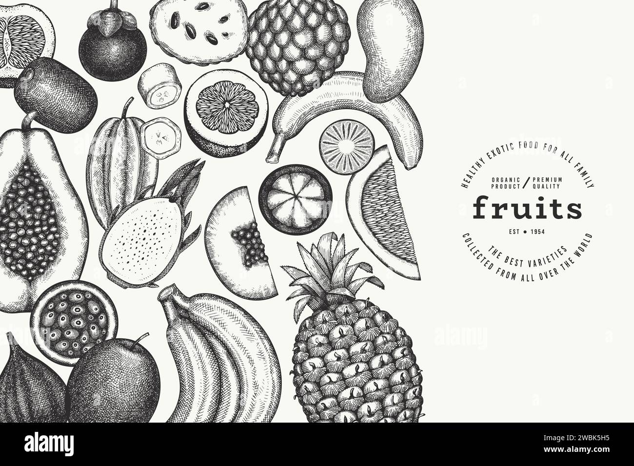 Tropical Fruit Design Template. Vector Hand Drawn Exotic Fruit Banner ...