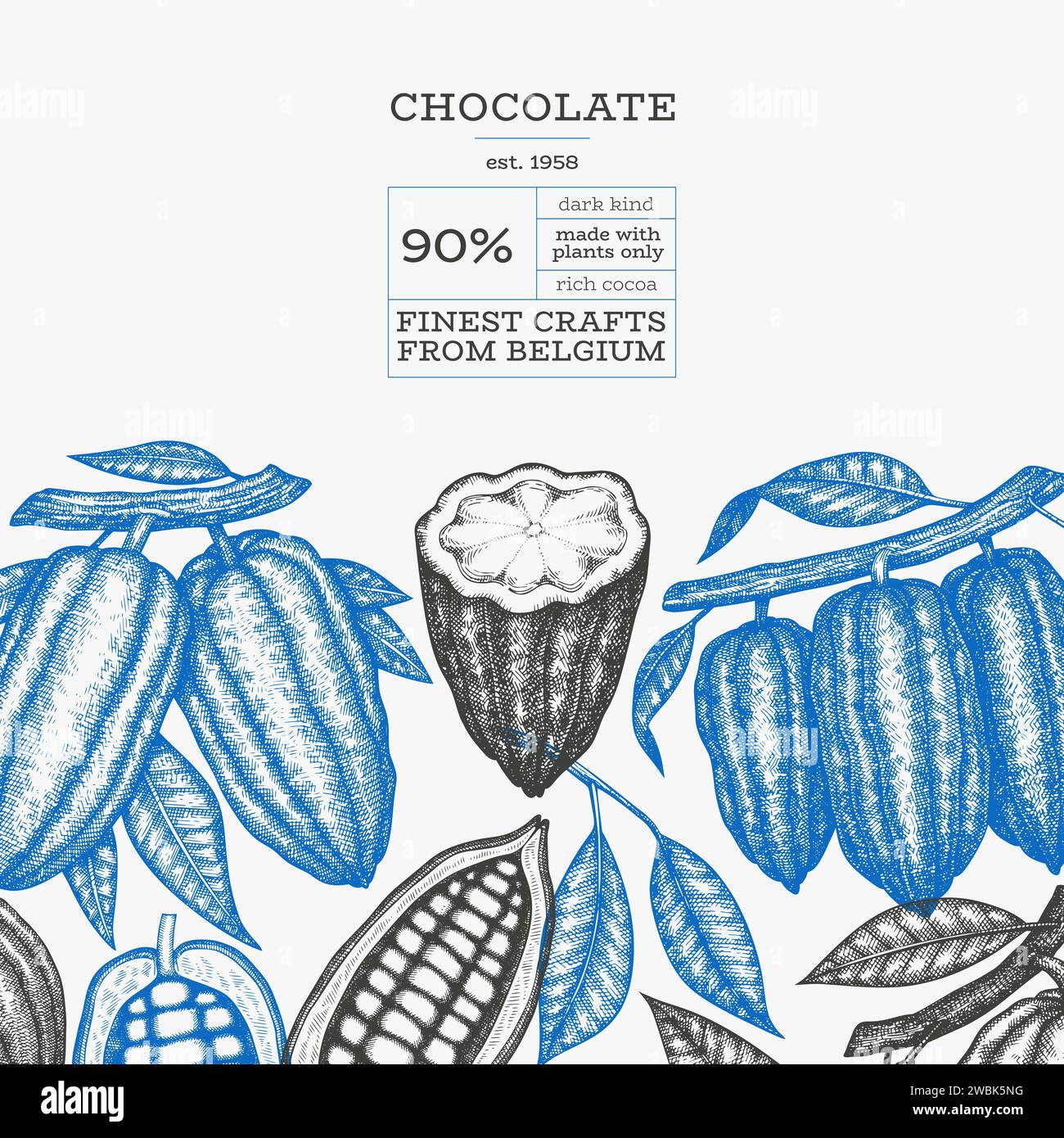 Cocoa design template. Chocolate cocoa beans background. Vector hand ...
