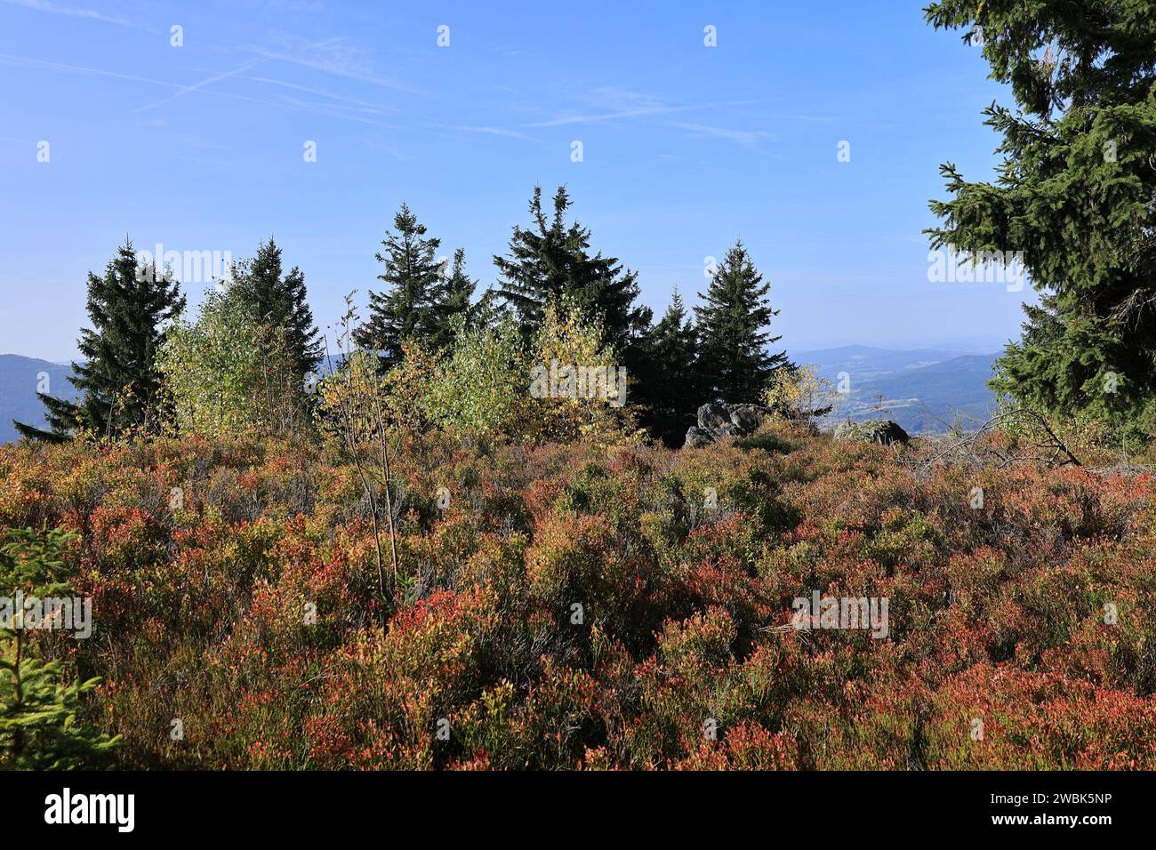 Herbst am Großen Osser im Bayerischen Wald Stock Photo - Alamy