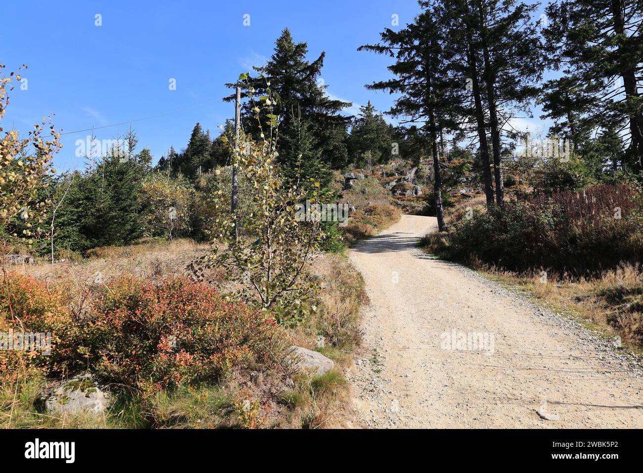 Herbst am Großen Osser im Bayerischen Wald Stock Photo - Alamy