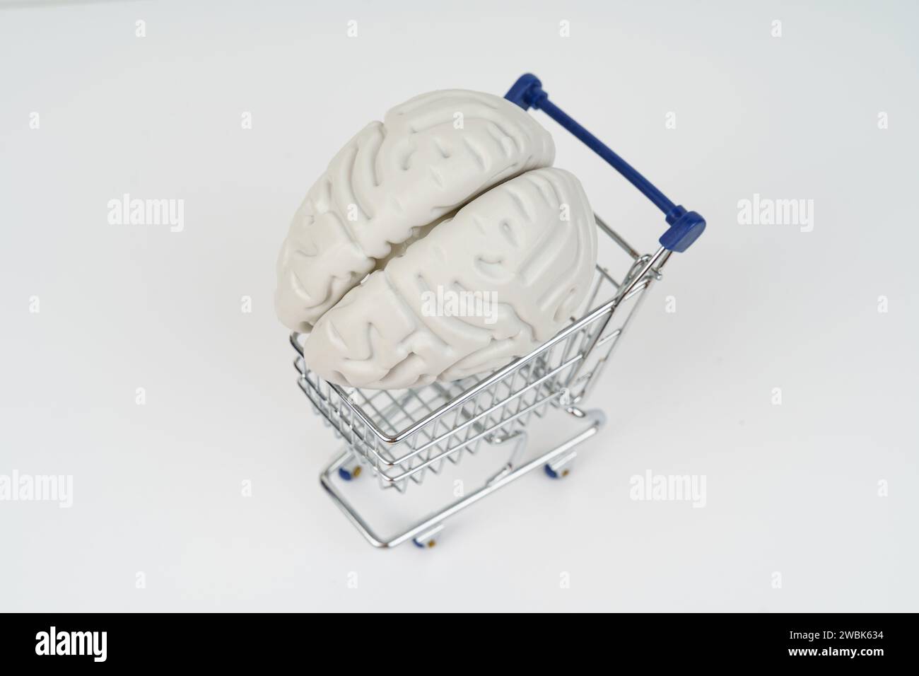 Human brain inside a shopping cart on a white background Stock Photo ...