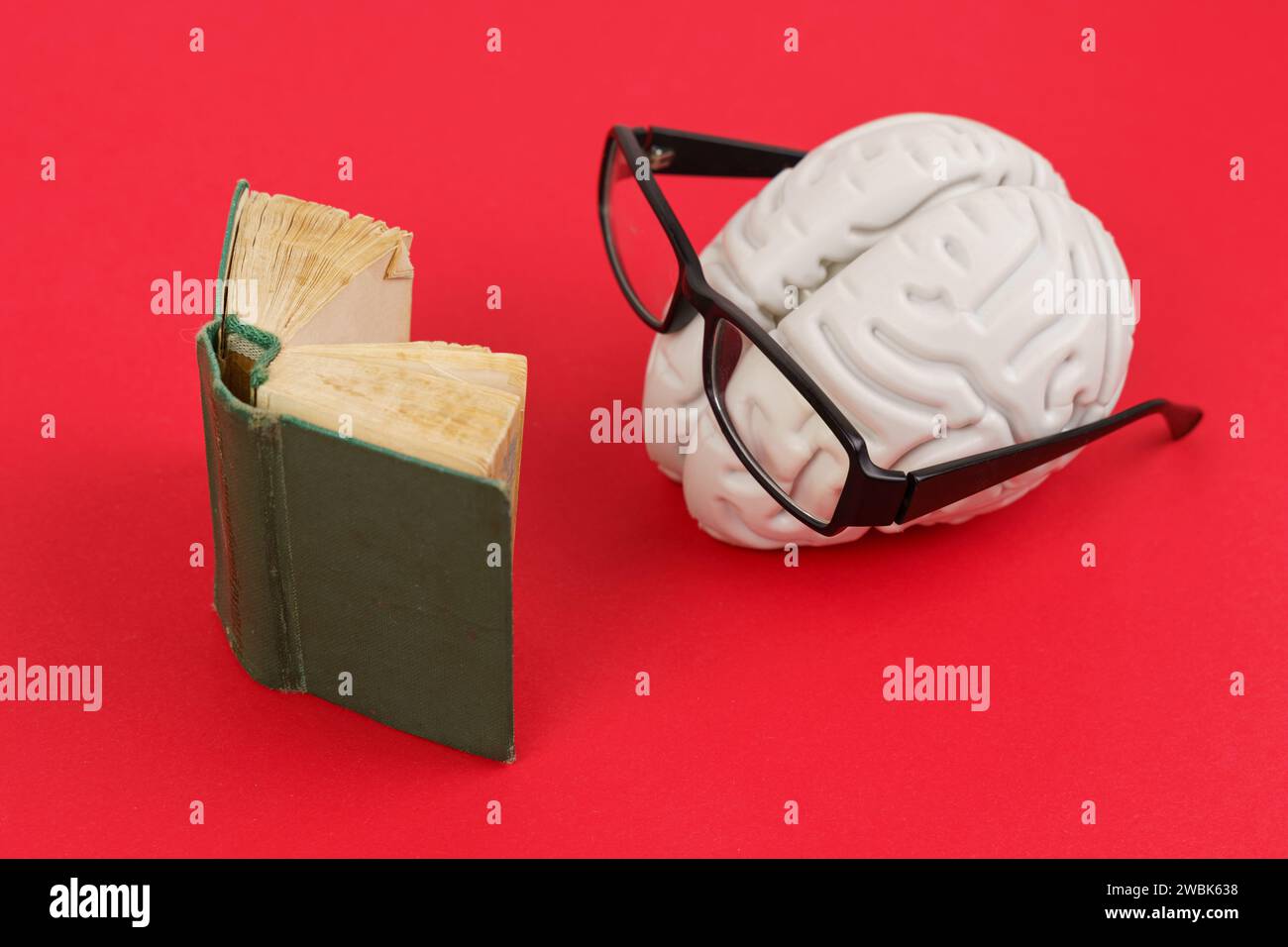 Human brain wearing glasses, completely immersed in reading a book, on ...