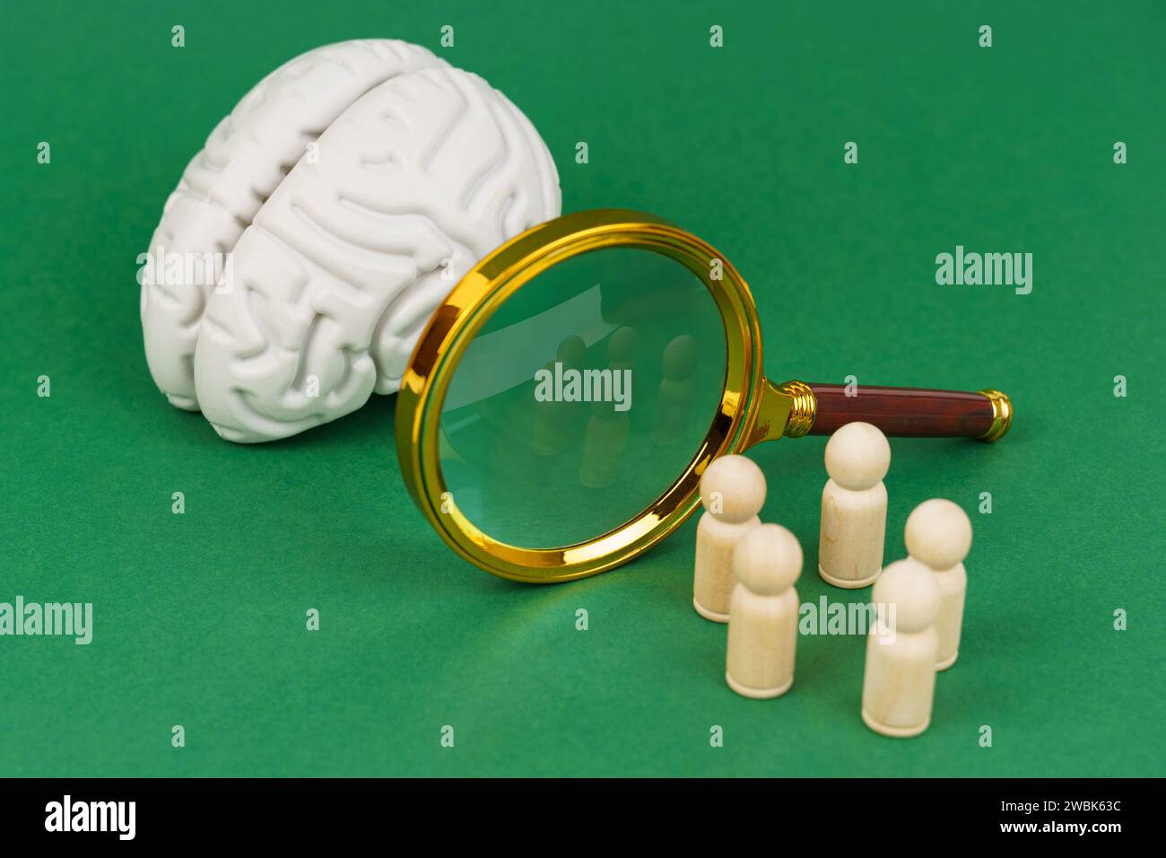 On a white background, a model of the brain, a magnifying glass and ...