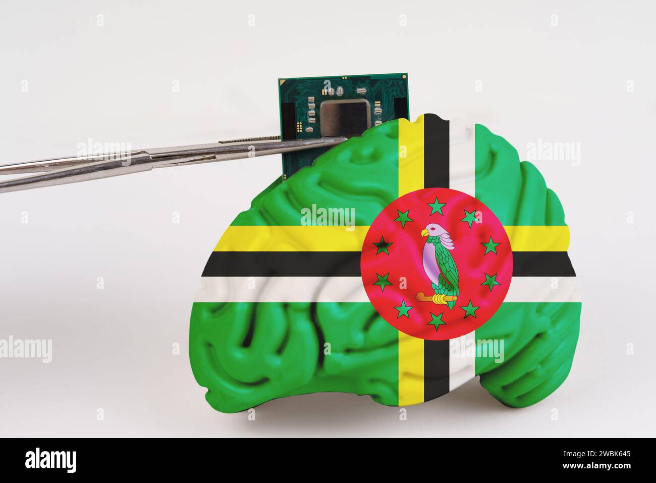 On a white background, a model of the brain with a picture of a flag ...