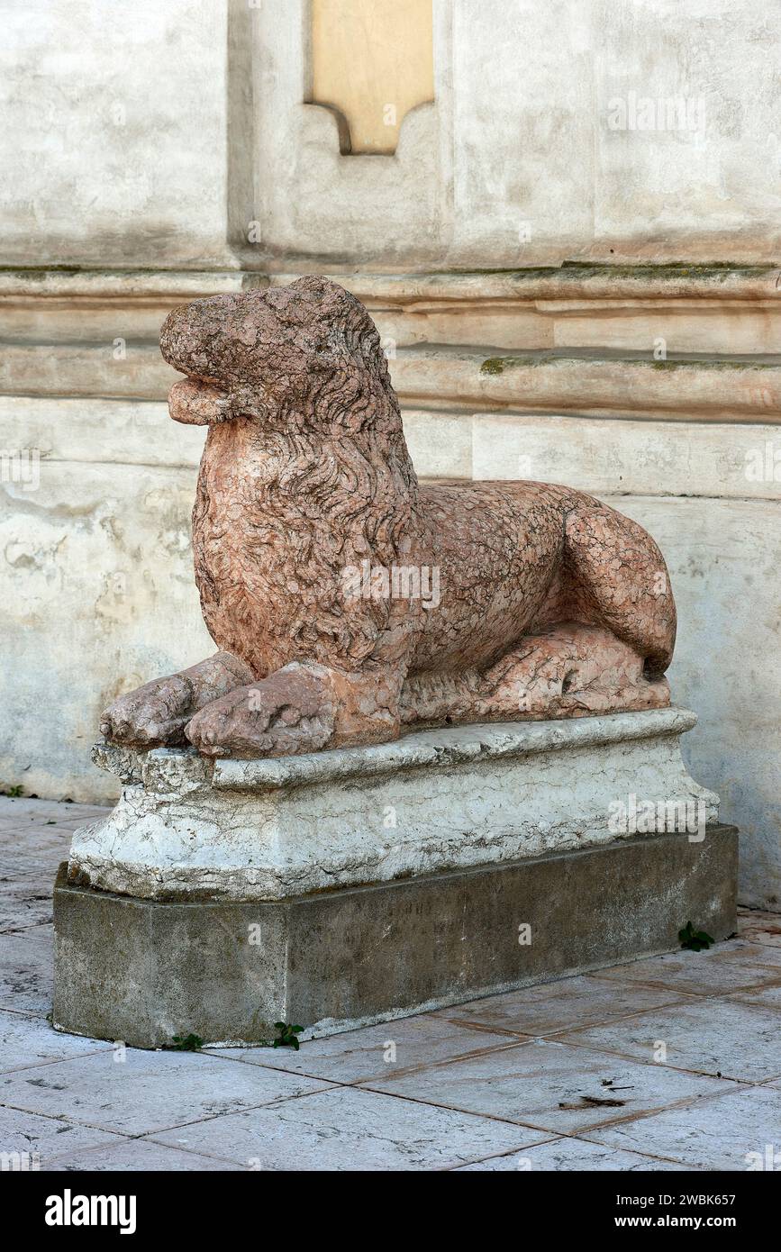 Leone rosso hi-res stock photography and images - Alamy