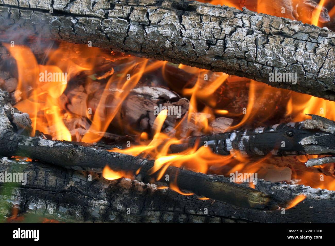Burning woods in campfire close hi-res stock photography and images - Alamy