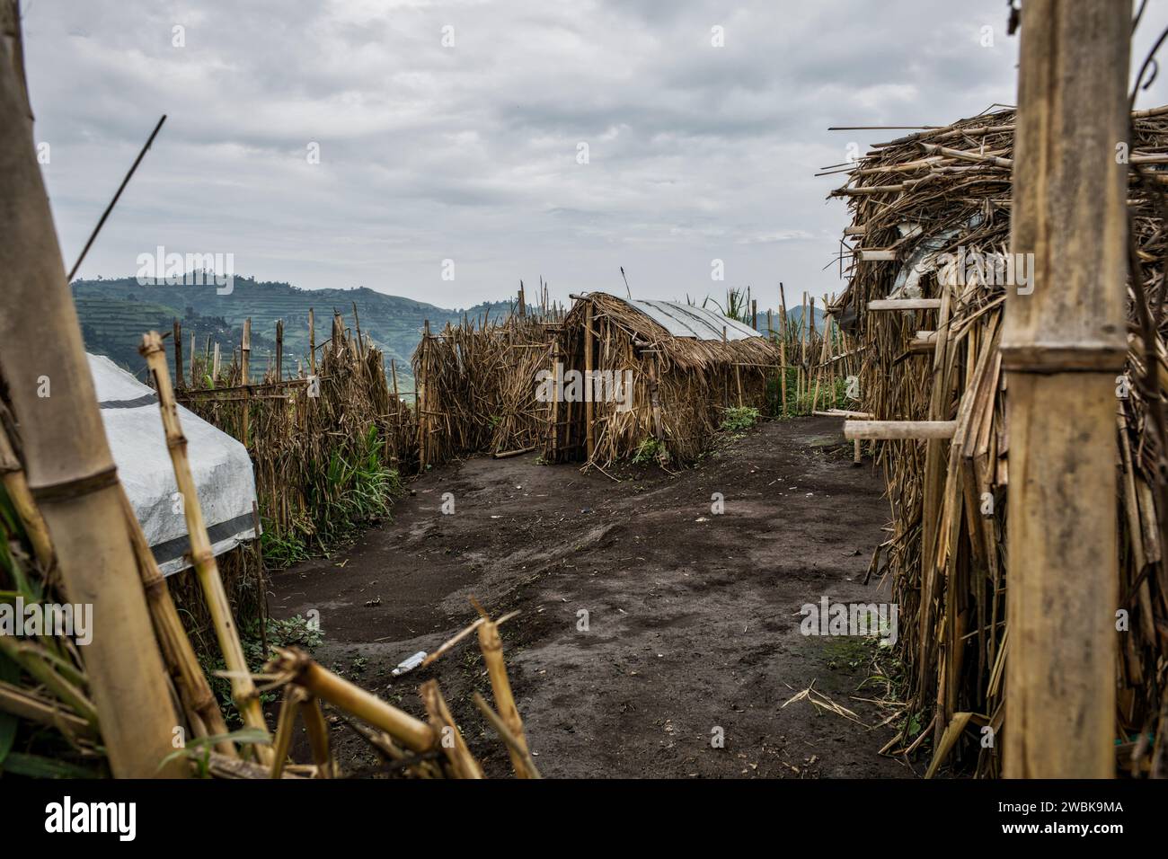 Rubaya town and Nyatura armed group, North Kivu, Democratic Republic of ...