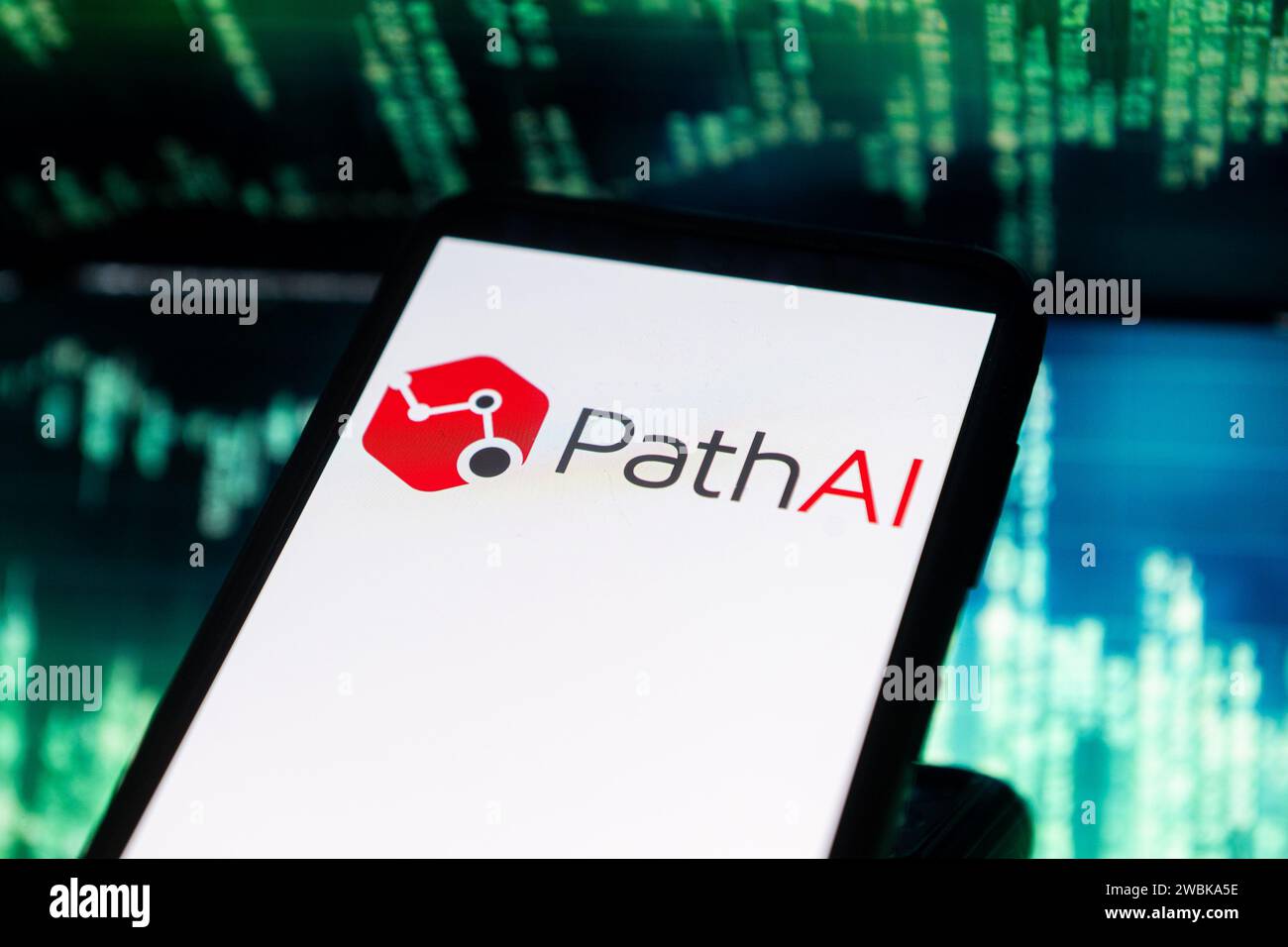 In this photo illustration a Path AI logo seen displayed on a ...