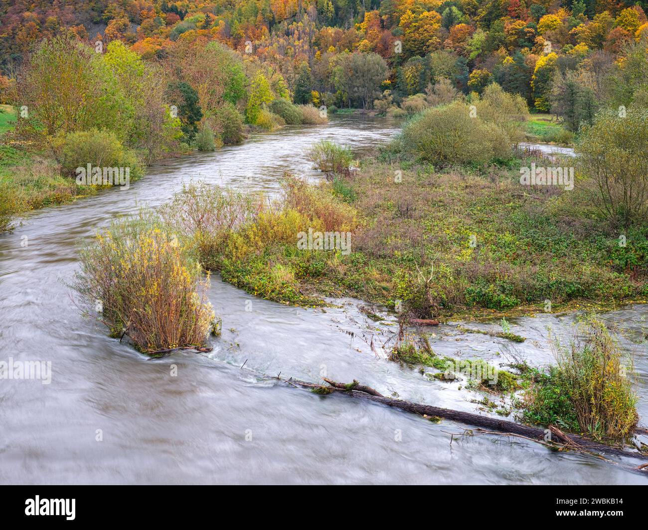 Europe, Germany, Hesse, Waldecker Land, Kellerwald-Edersee Nature and ...