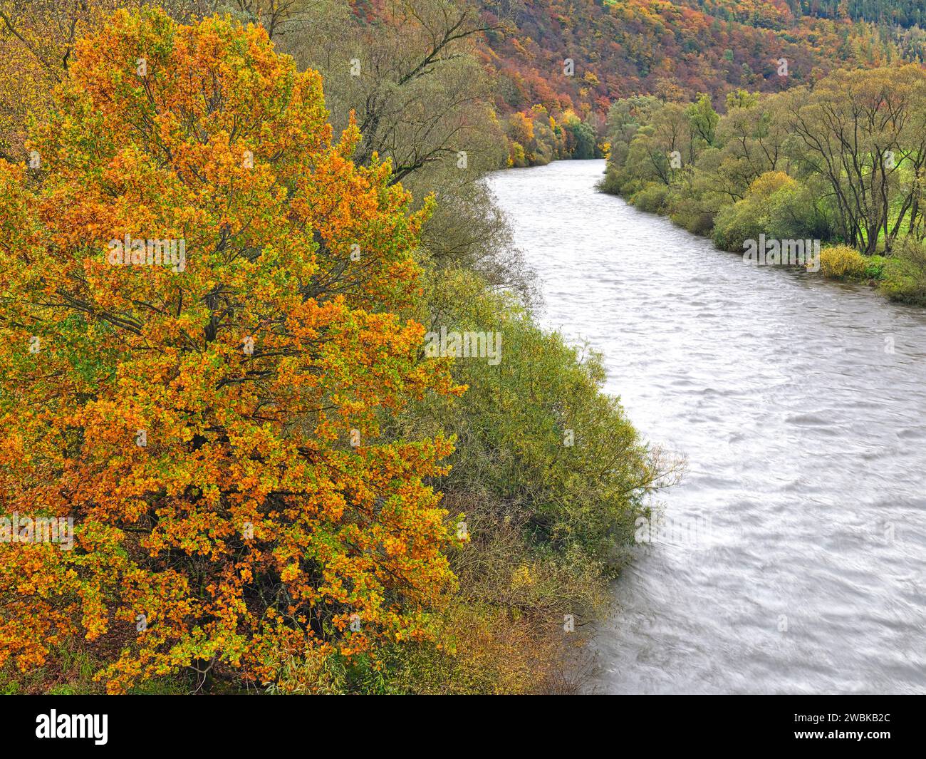 Europe, Germany, Hesse, Waldecker Land, Kellerwald-Edersee Nature and ...