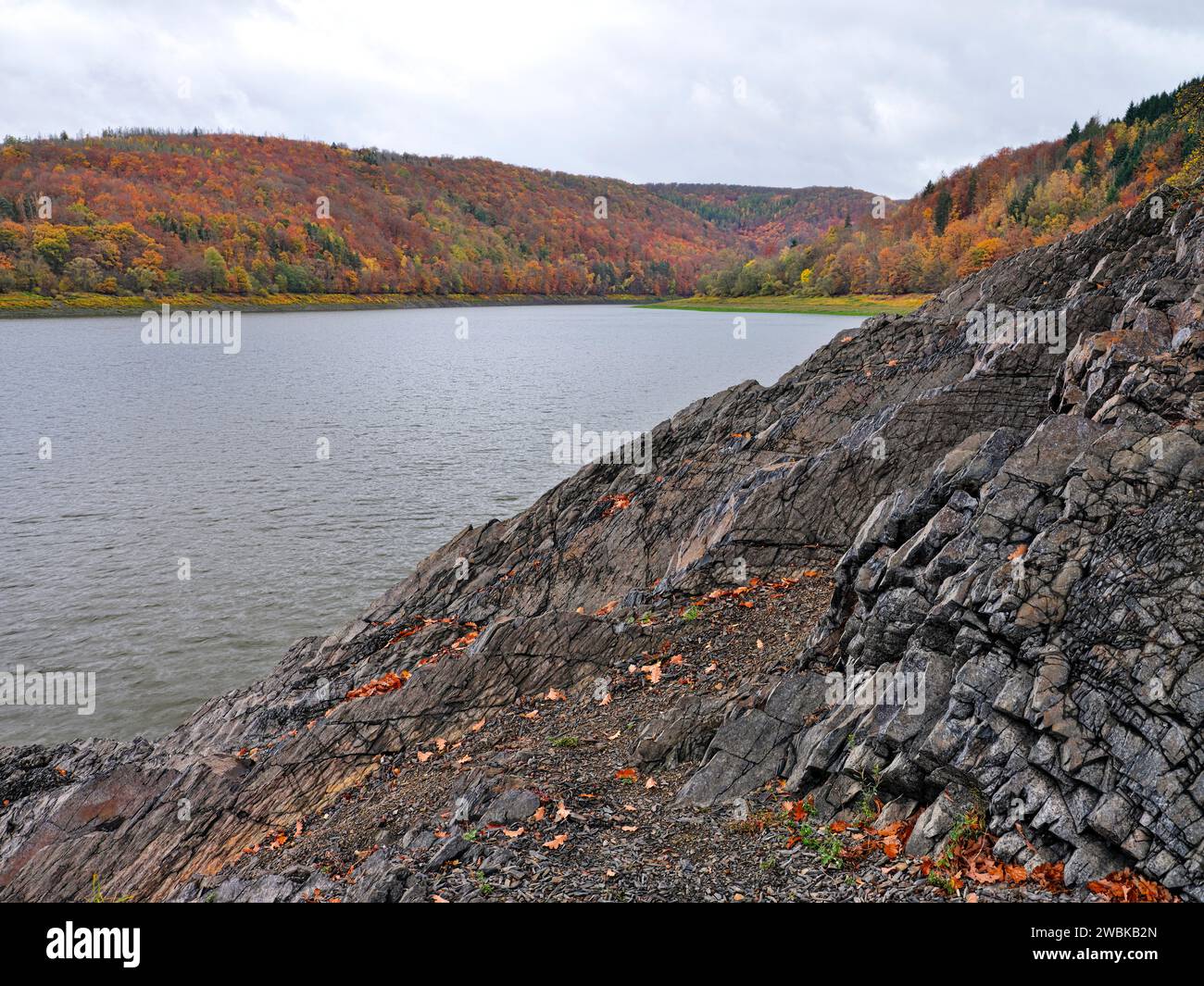 Europe, Germany, Hesse, Waldecker Land, Kellerwald-Edersee Nature and ...