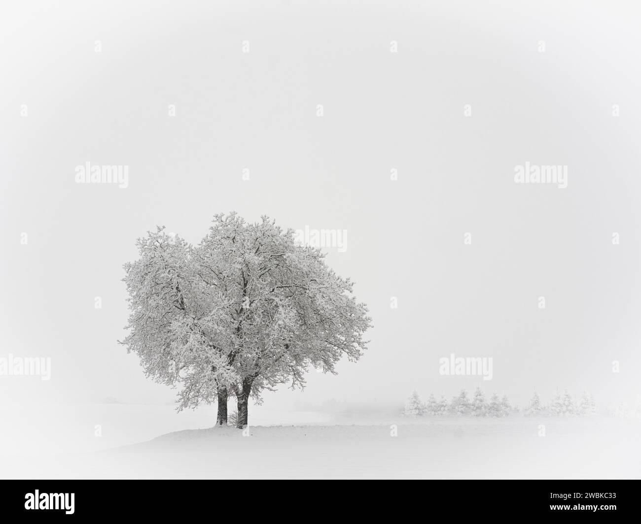 Highkey hi-res stock photography and images - Alamy