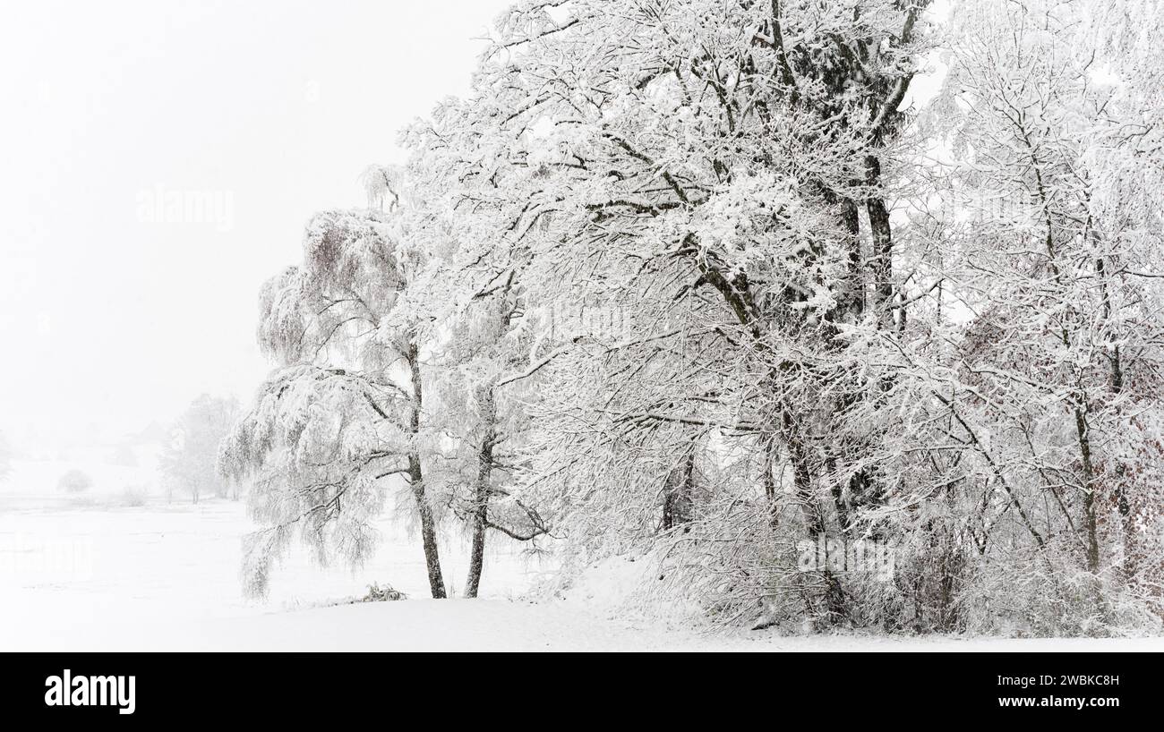 Winter landscape in a snow flurry Stock Photo - Alamy