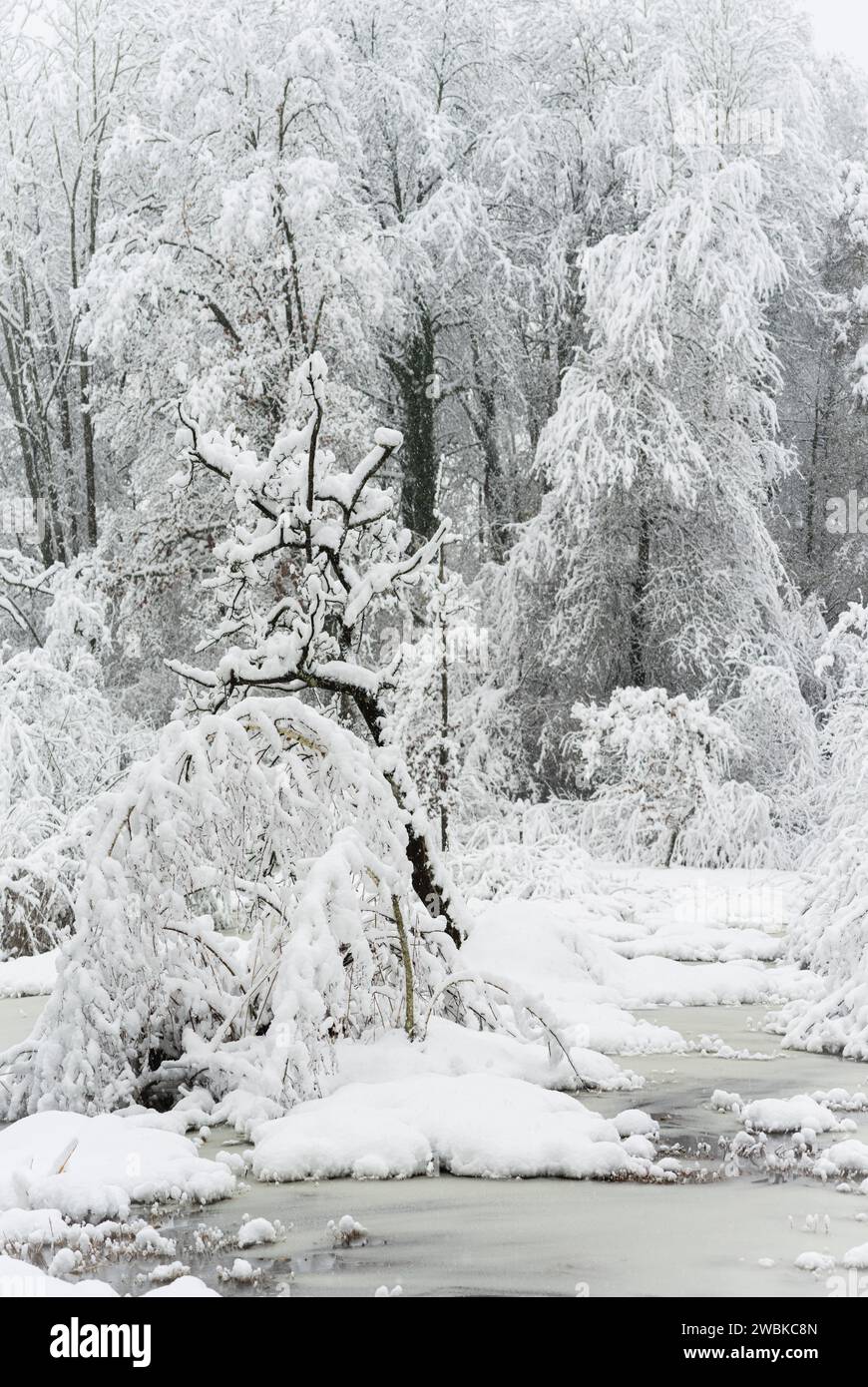 Winter landscape with frozen ice Stock Photo - Alamy