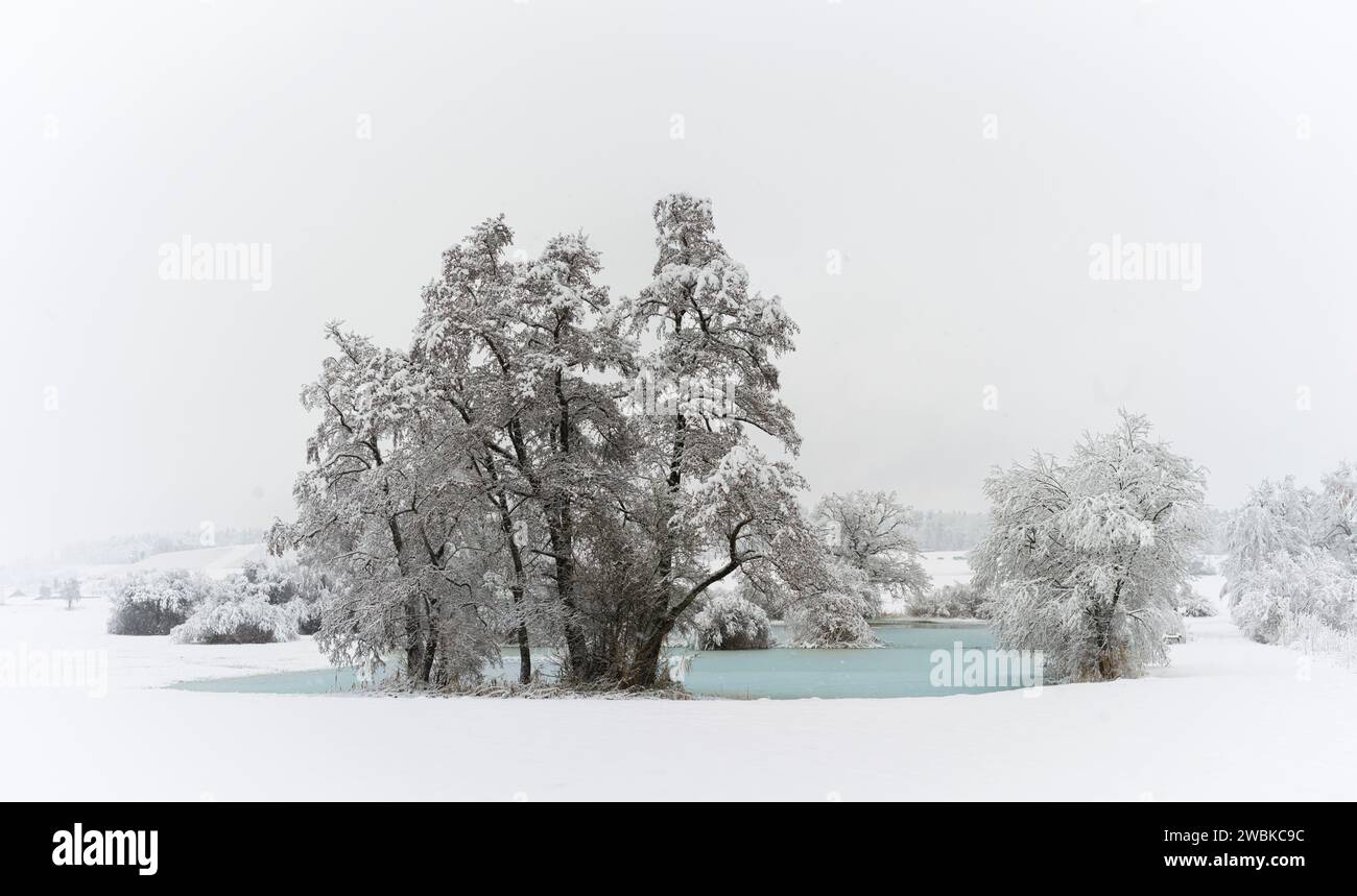 Frozen pond wildlife hi-res stock photography and images - Alamy