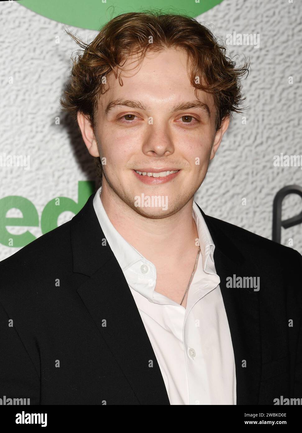 LOS ANGELES, CALIFORNIA - JANUARY 10: Dustin Pewitt attends the ...