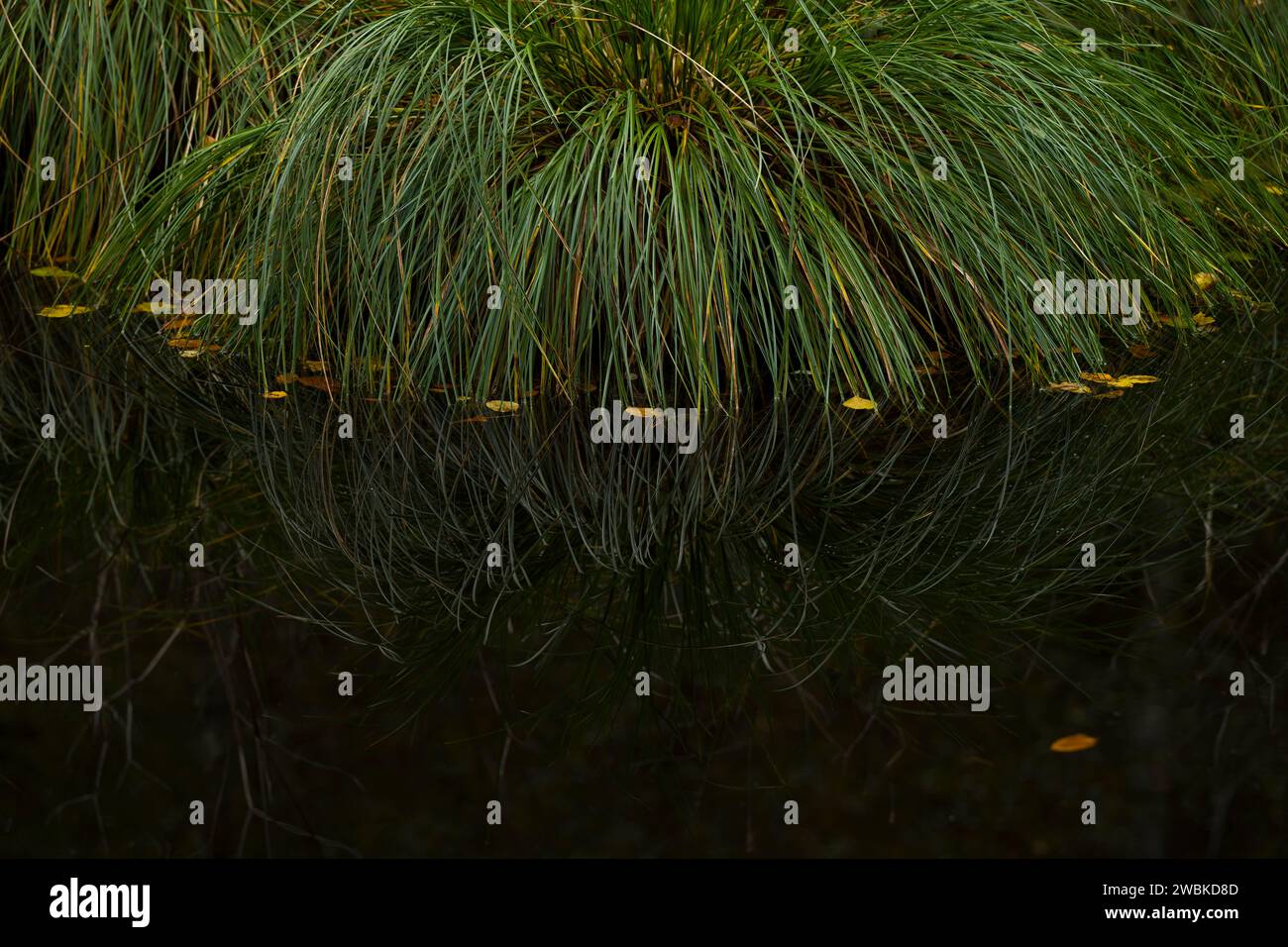 Mounds in a moor hi-res stock photography and images - Alamy