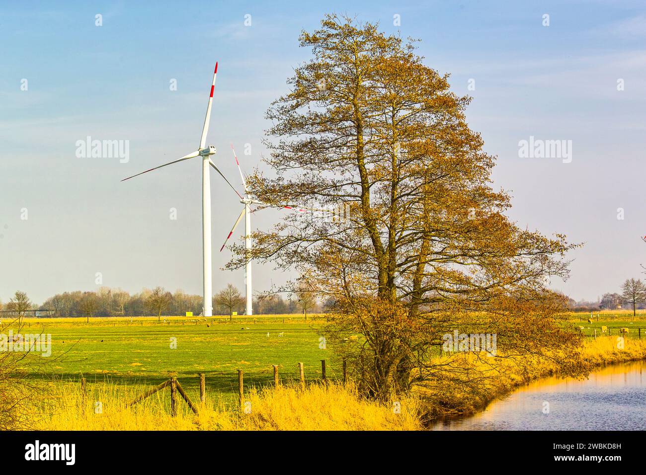 Renewable energy. Wind turbines in the Frisian Wehde Stock Photo - Alamy