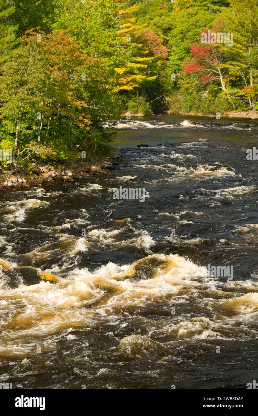 West branch penobscot river hi-res stock photography and images - Alamy