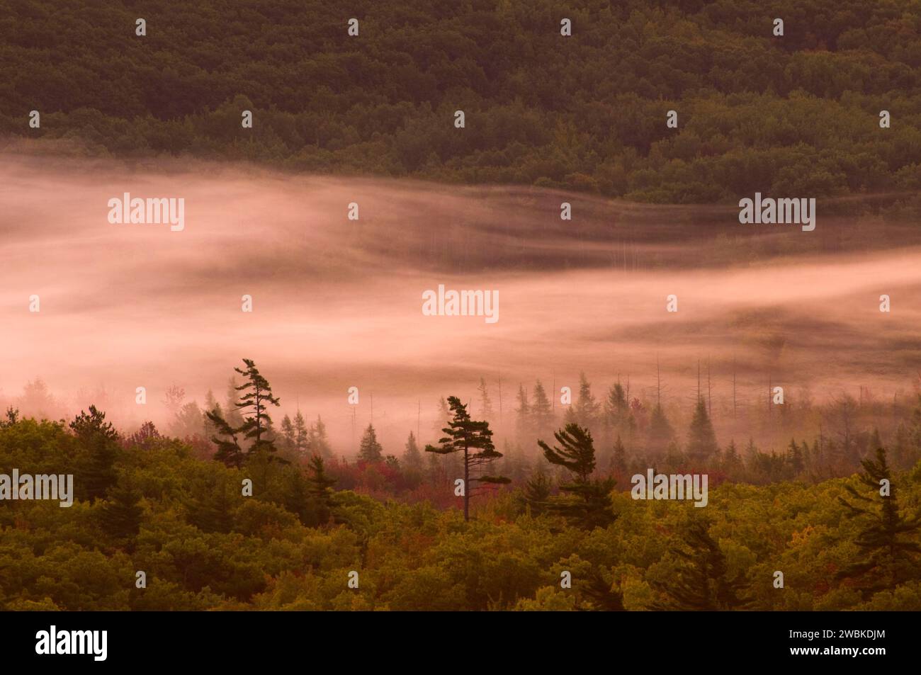Road to cadillac mountain hi-res stock photography and images - Alamy